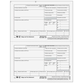 Custom Super Forms BW2EEC05 - Form W-2 Employee Record, Copy C ...