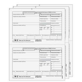 Custom Super Forms EFW2TRADS305 - Traditional W-2 Form 3-part E-file ...