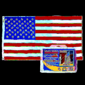 Valley Forge American Flag 36 in. H X 5 ft. W Wholesale - Opentip